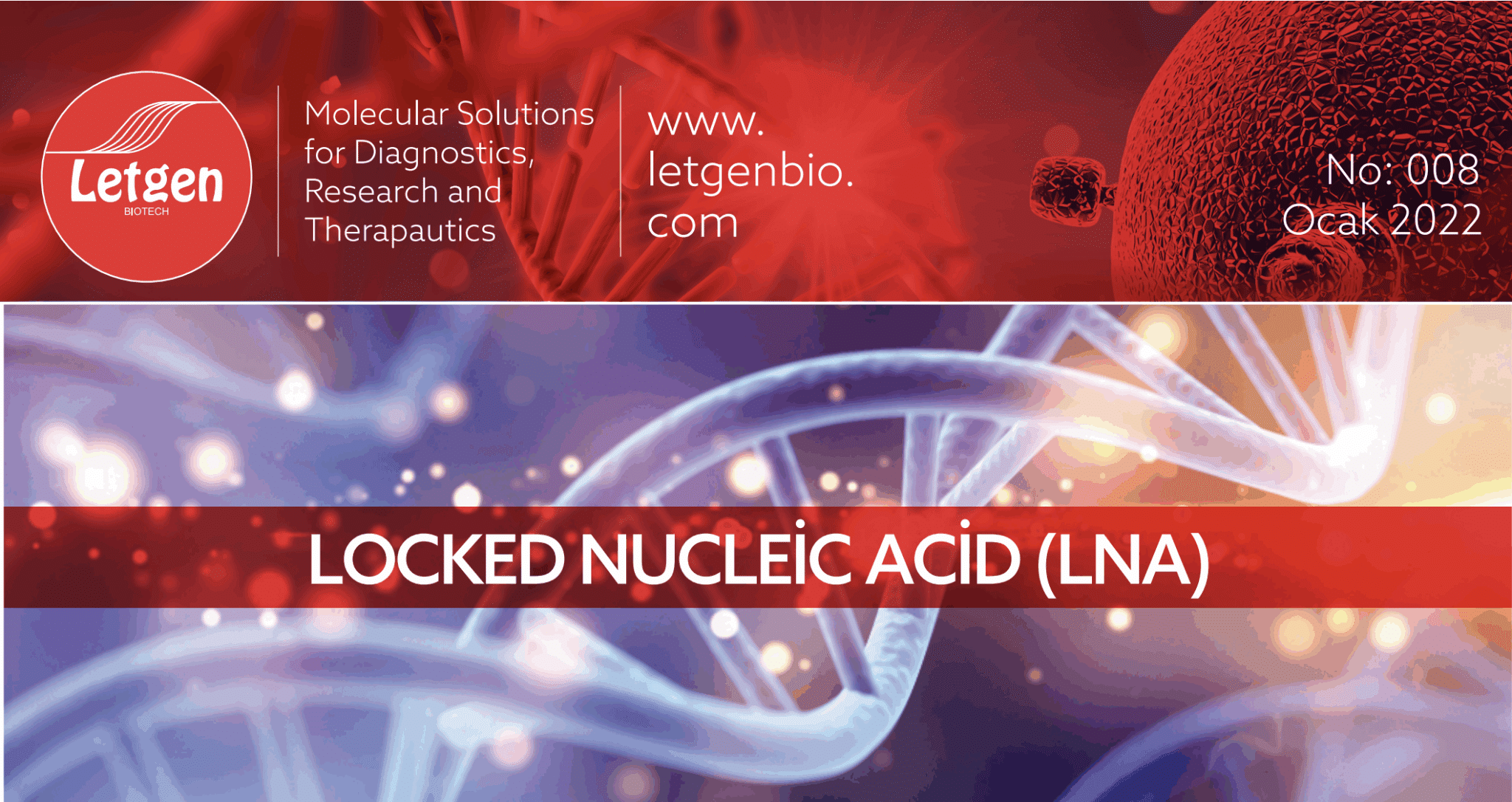 Locked Nucleic Acid (LNA) | Letgen Biyoteknoloji
